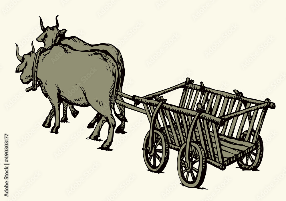 Empty cart drawn by oxen. Vector drawing Stock Vector | Adobe Stock