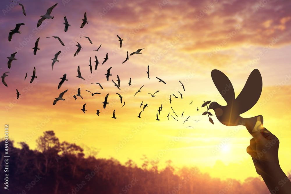 silhouette hand holding dove of peace and birds flying background Stock ...
