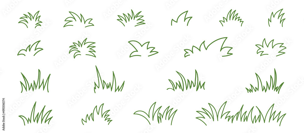 Grasses Drawing