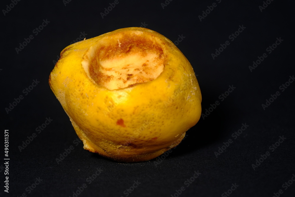 The rotten parts of the quince were hollowed out with black background ...
