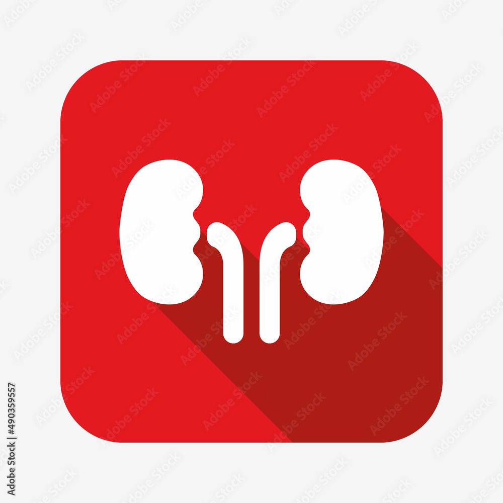 Kidneys icon in flat design style. Urology symbol. Health care, medical concept for website and ...