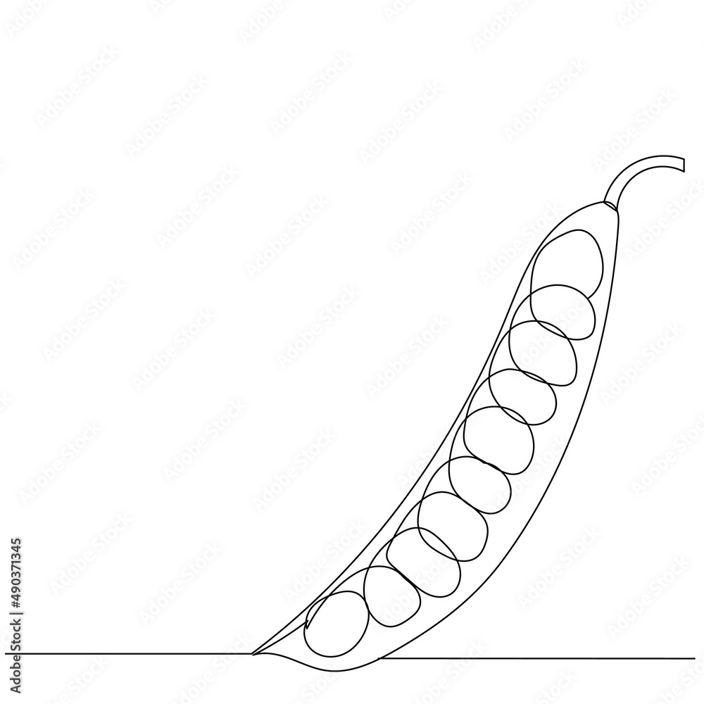 peas drawing in one continuous line, isolated vector Stock Vector ...