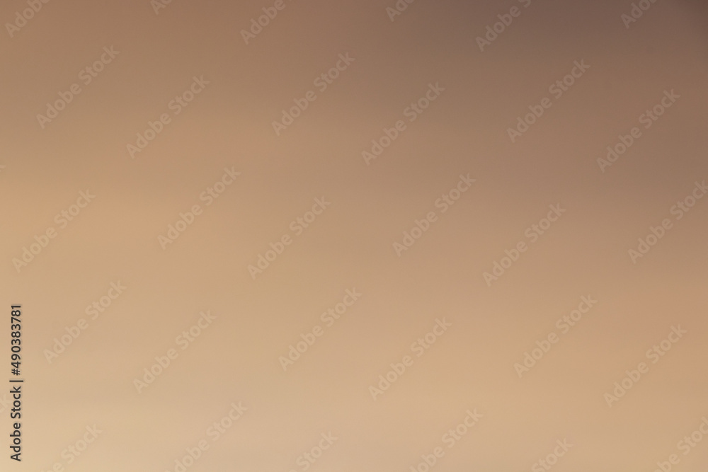 Fundo marrom claro. Stock Photo | Adobe Stock