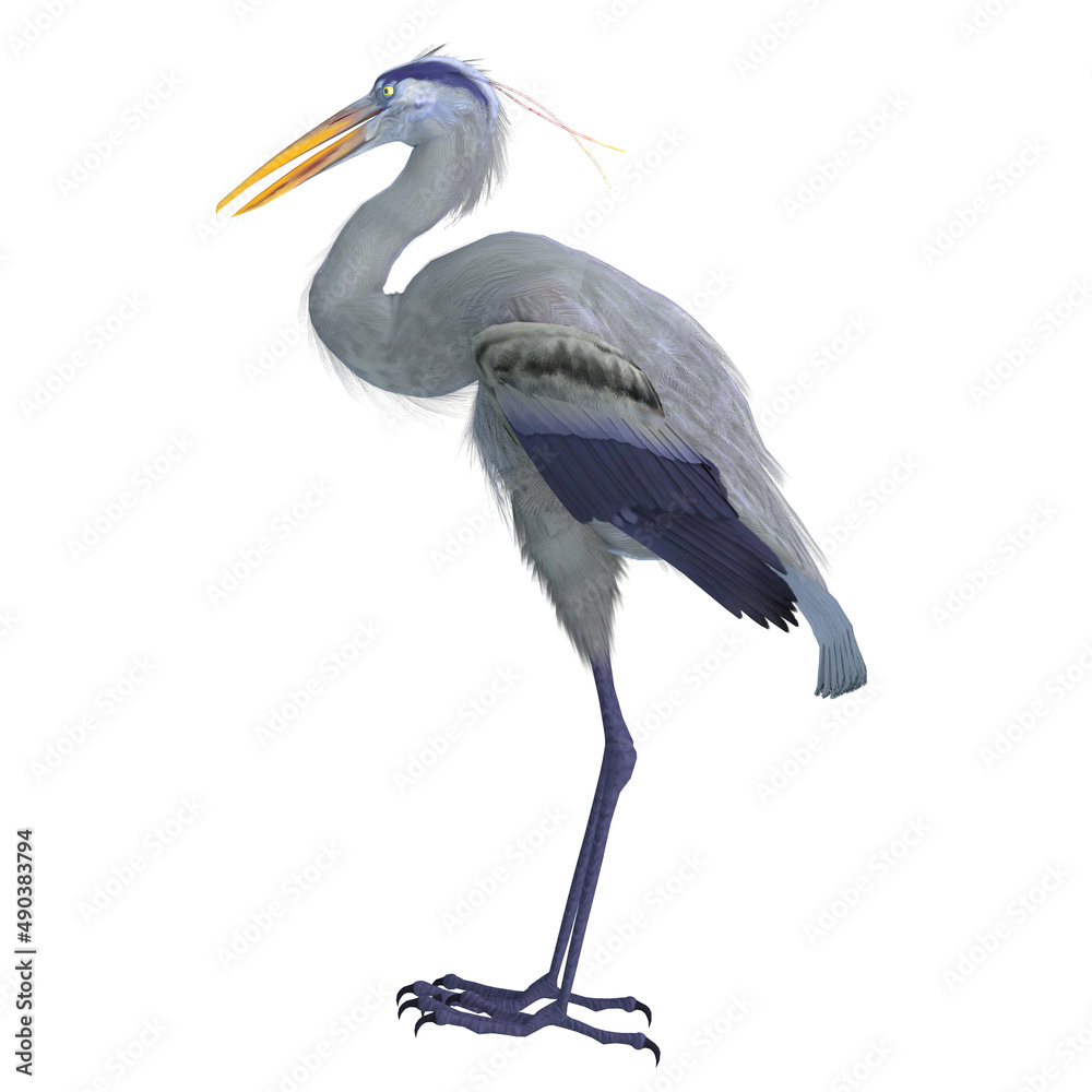 Bennu Bird - The Bennu Heron is an extinct bird that is depicted as a ...