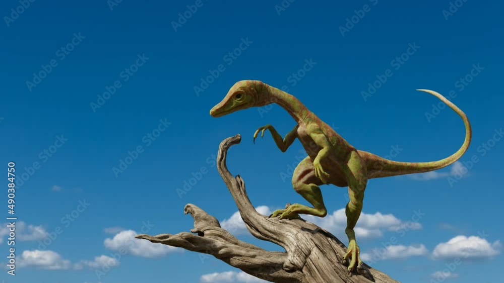 Compsognathus longipes, tiny dinosaur species from the Late Jurassic ...