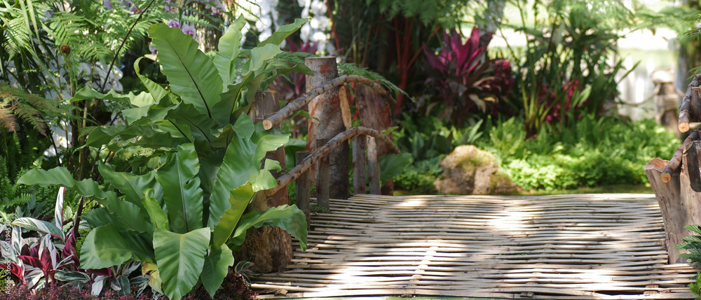 Tropical rainforest garden with bamboo bridge path and various types of ...
