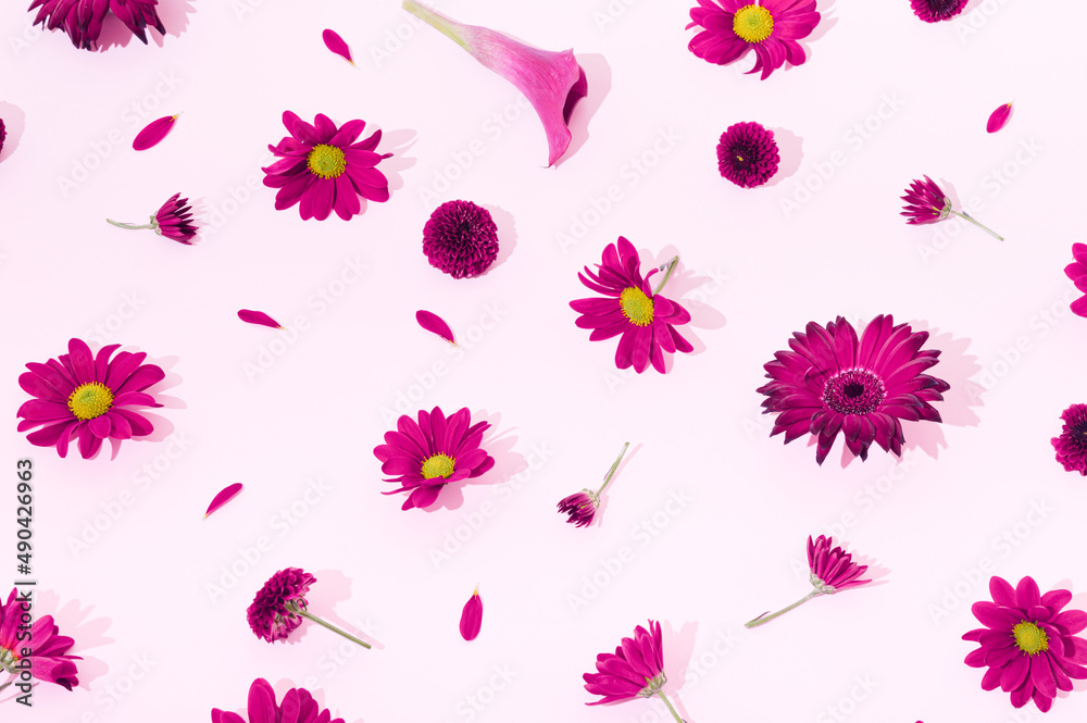 Pink flowers background. Visual aesthetic bold spring idea Stock Photo ...