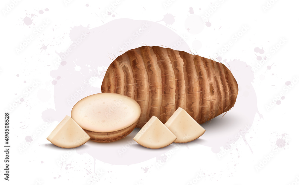 Fresh taro root vector illustration with taro root vegetable slices ...