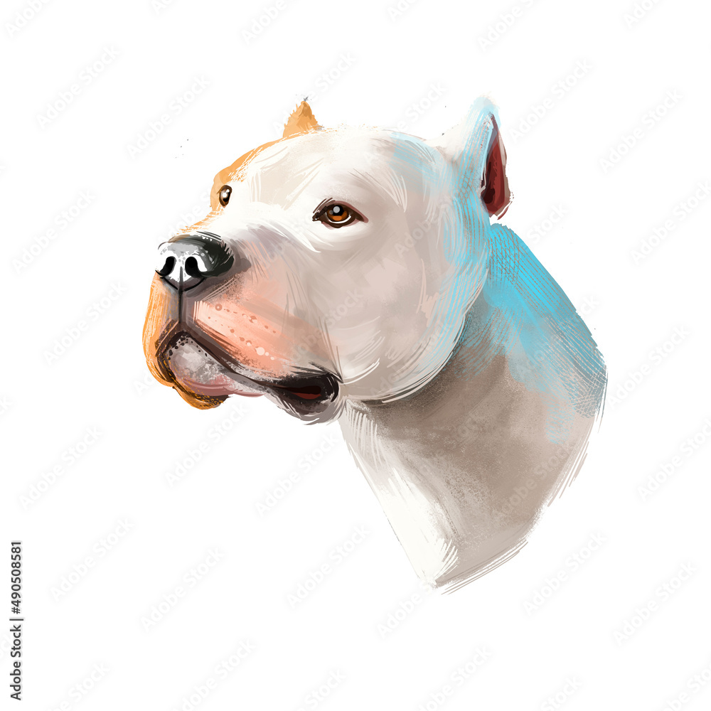 Brazilian Dogo dog breed isolated on white digital art illustration ...
