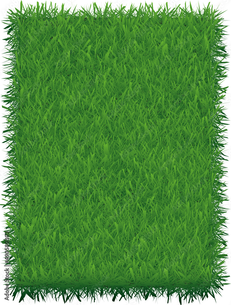 Textura pasto Stock Illustration | Adobe Stock