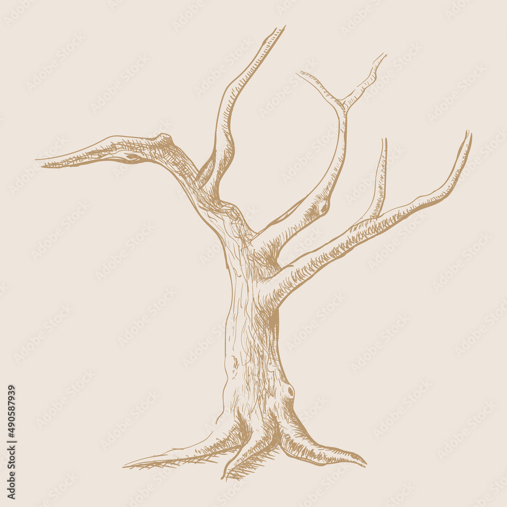 Old vintage bare tree hand drawn illustration vector, line art style ...