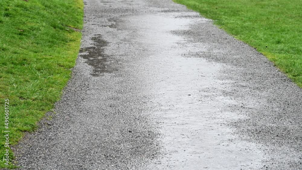 Wet, rainy winter day, gravel path with standing rainwater with grass ...
