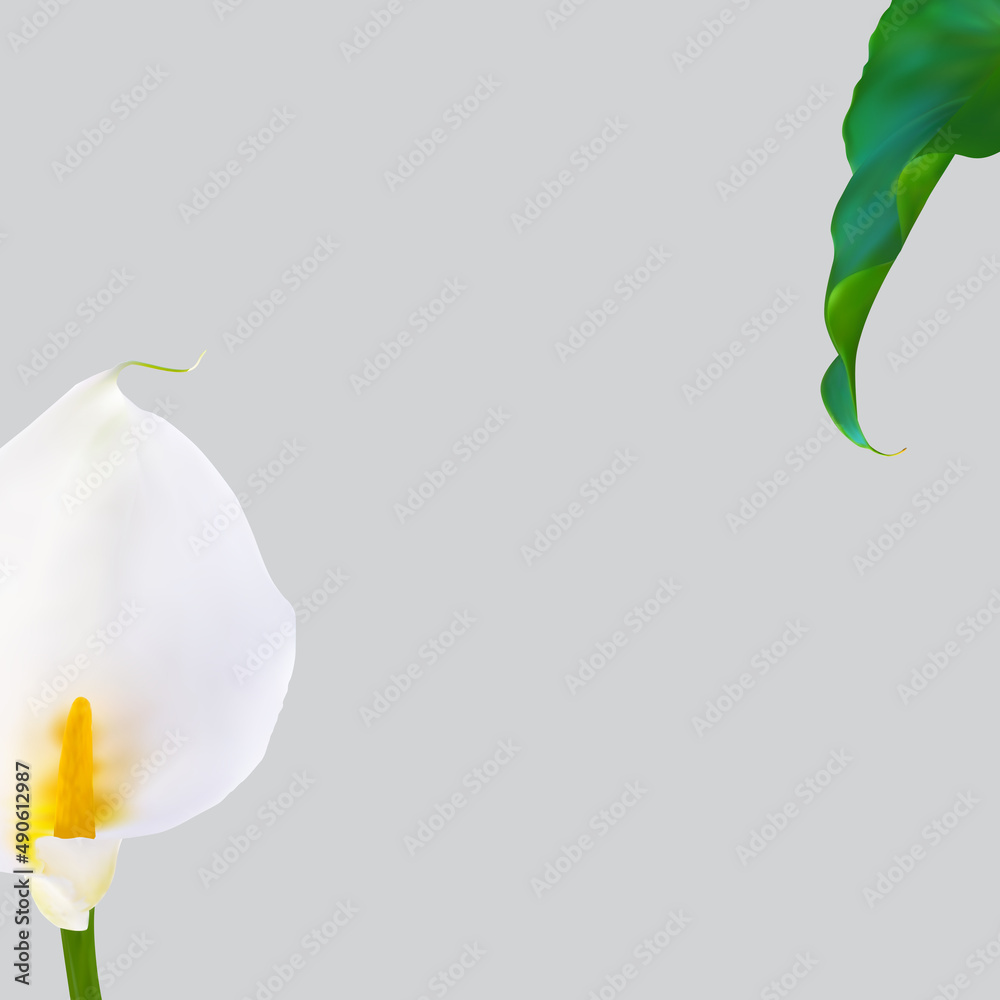 Flower Natural Background for Instagram Post. Illustration Stock Photo ...