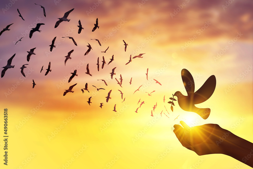silhouette hand holding dove of peace and birds flying sunset ...
