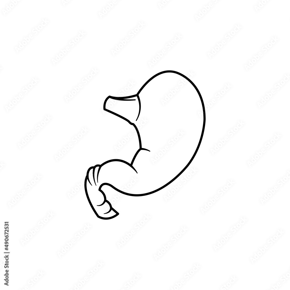 Outline icon of Stomach. Anatomy icon concept isolated vector ...