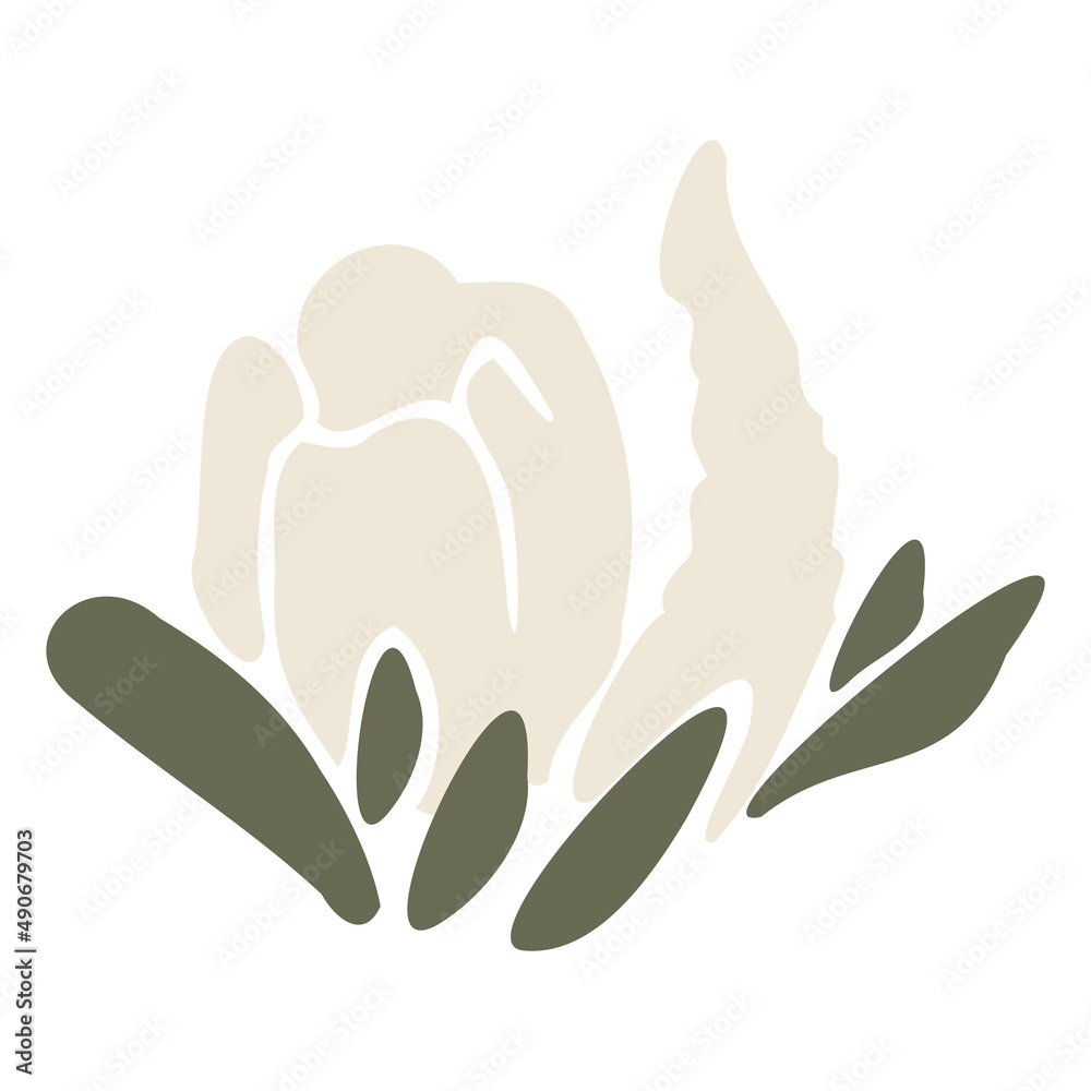 Tender vector flat illustration with flower. Spring rose for women on ...