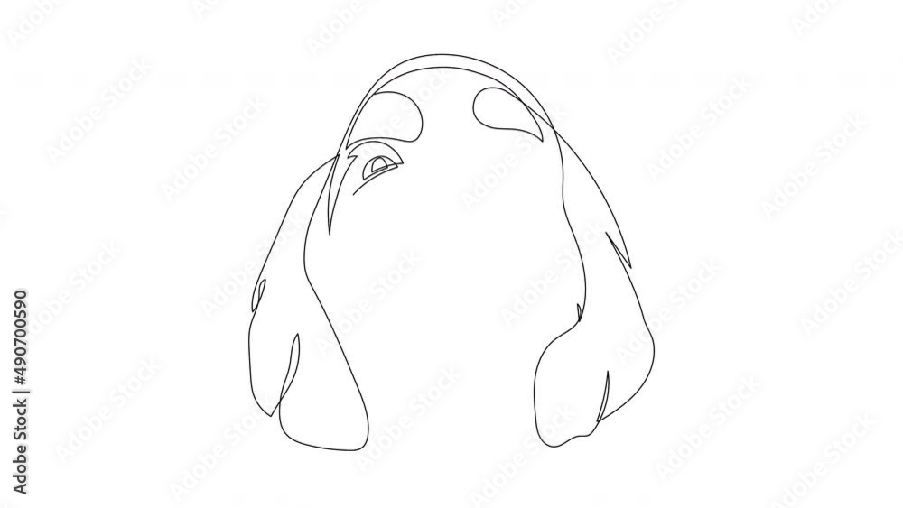 Self drawing simple animation of continuous line Bernedoodle dog. Pet ...