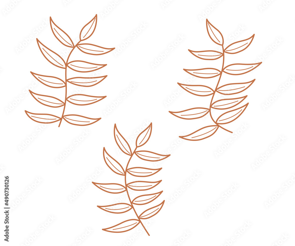 Floral decoration branch leaf plant line, Design element for cards ...