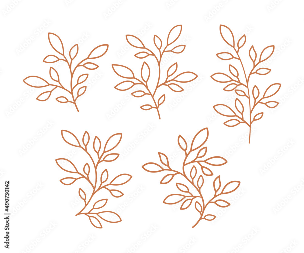 Set collection leaves, outline design of leaves, set of leaves, Set of ...