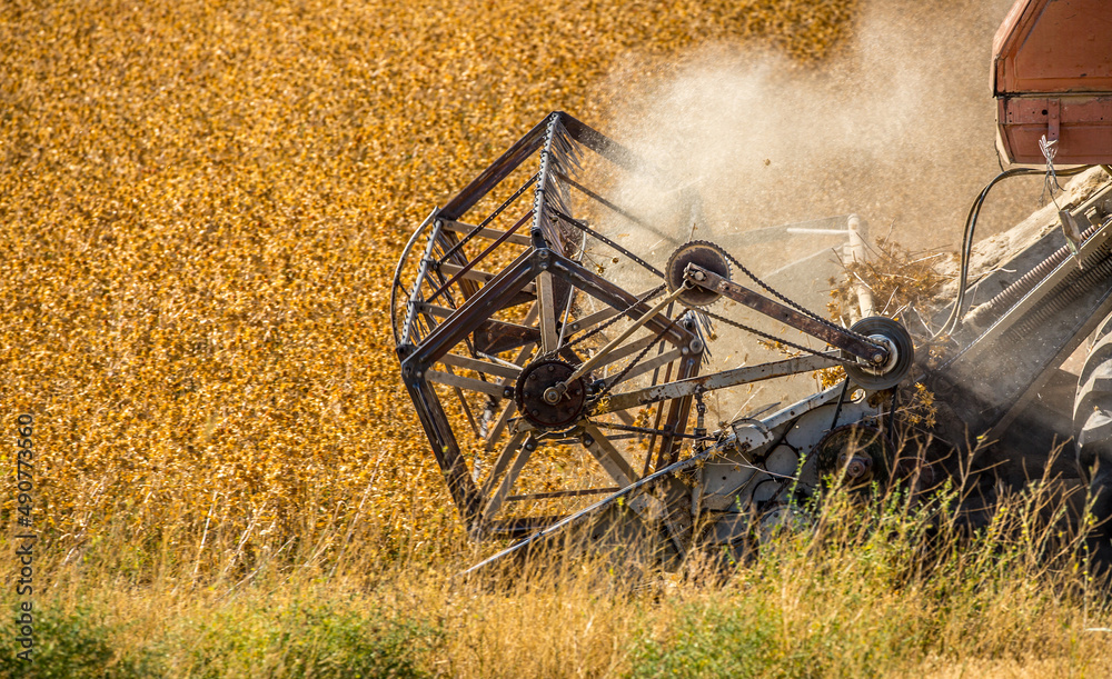 Harvesting, the harvester machine is harvesting, plowing the land ...
