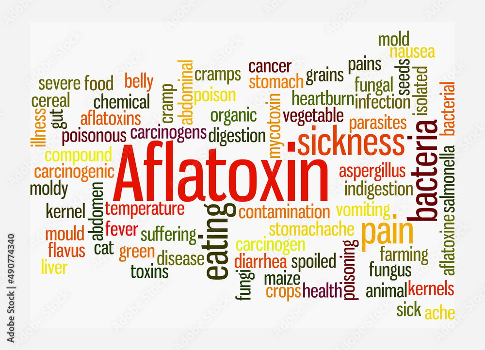 Word Cloud with AFLATOXIN concept, isolated on a white background Stock ...