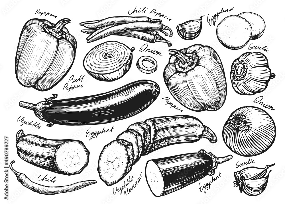 Fresh vegetables set sketch. Farm food hand drawn vintage vector ...