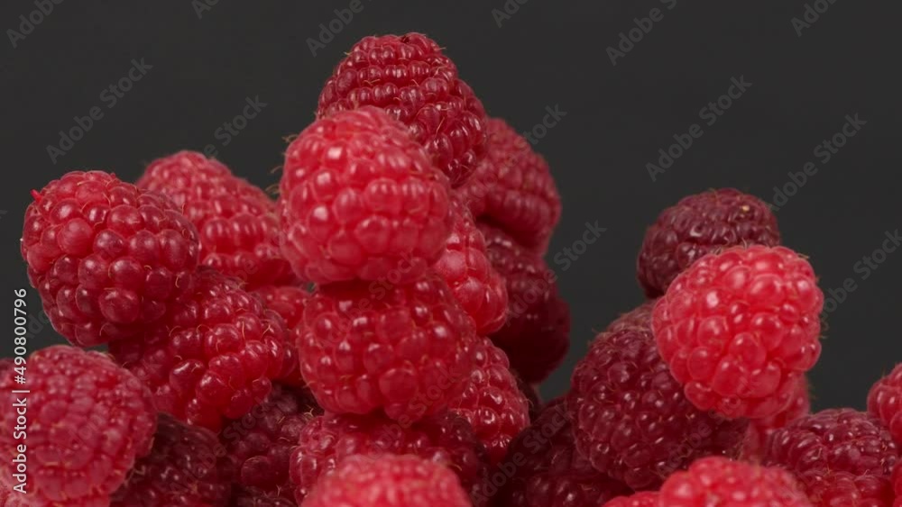 Raspberry on black. Extrem close-up. Side view. Loop motion. Rotation ...