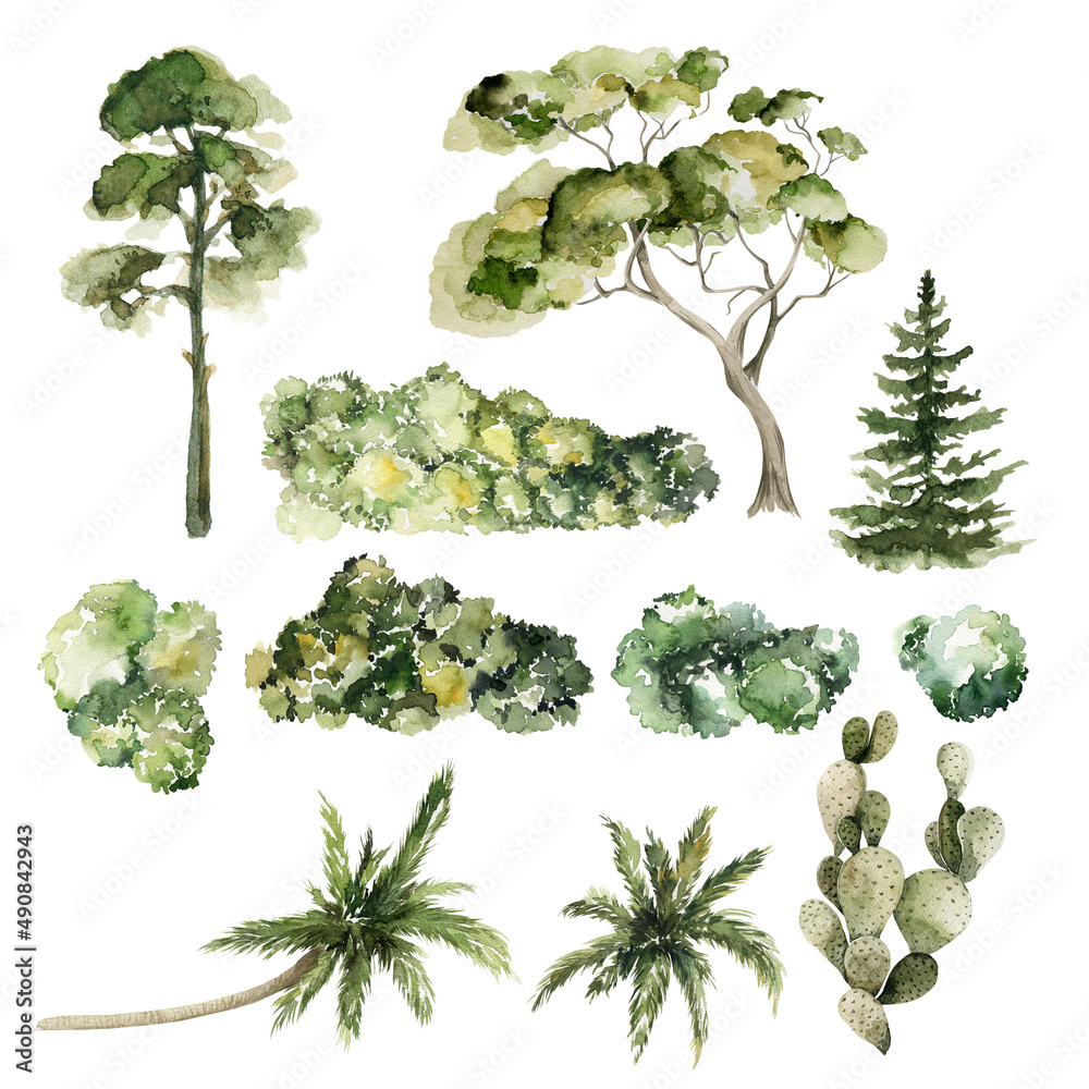 Watercolor summer tree. Hand painted landscape, grass, plant, palm ...