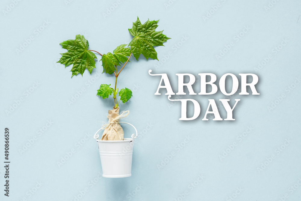 Arbor day - planting a young seedling tree and garden supplies tools ...