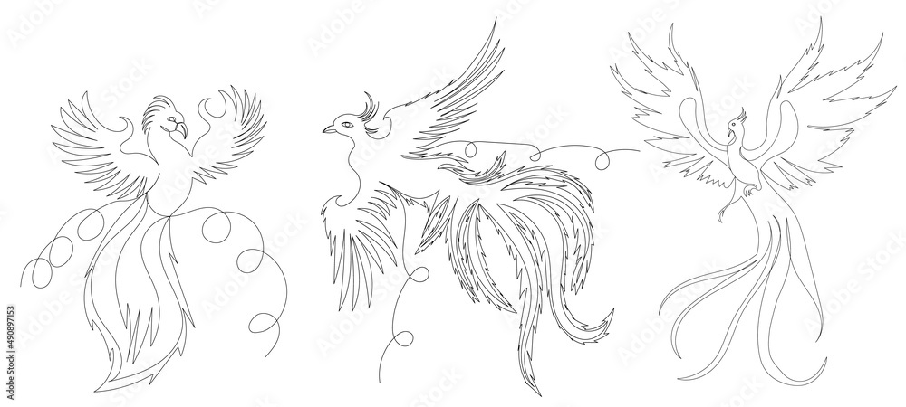 phoenix bird drawing in one continuous line, isolated vector Stock ...