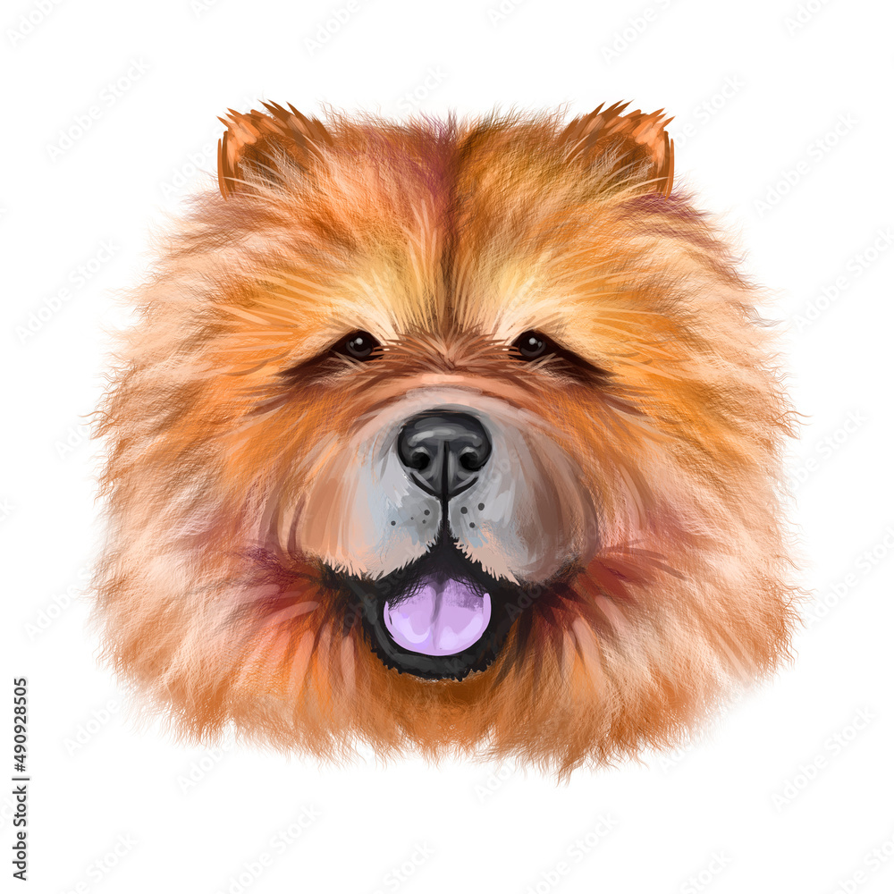 Chow Chow dog breed isolated on white pet loss digital art illustration ...