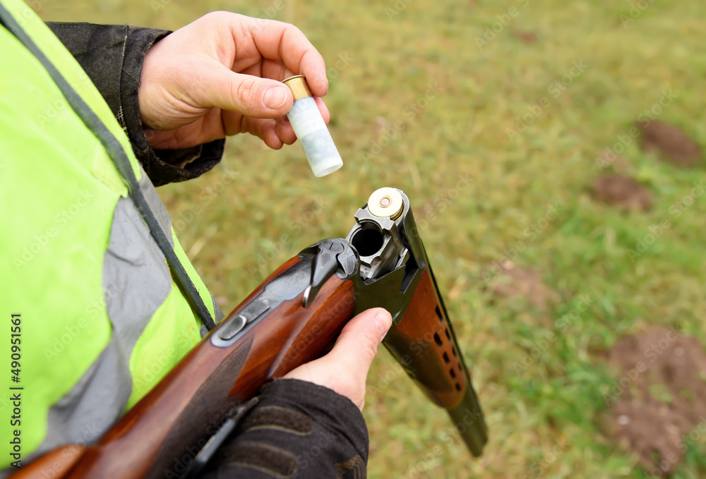 Shotgun in hunter hand. Hunter loads Cartridge (firearms) with shot ...