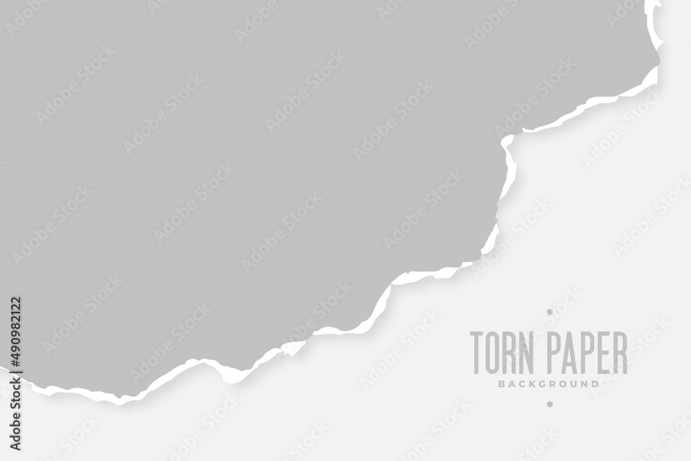 gray torn paper sheet texture background Stock Vector | Adobe Stock