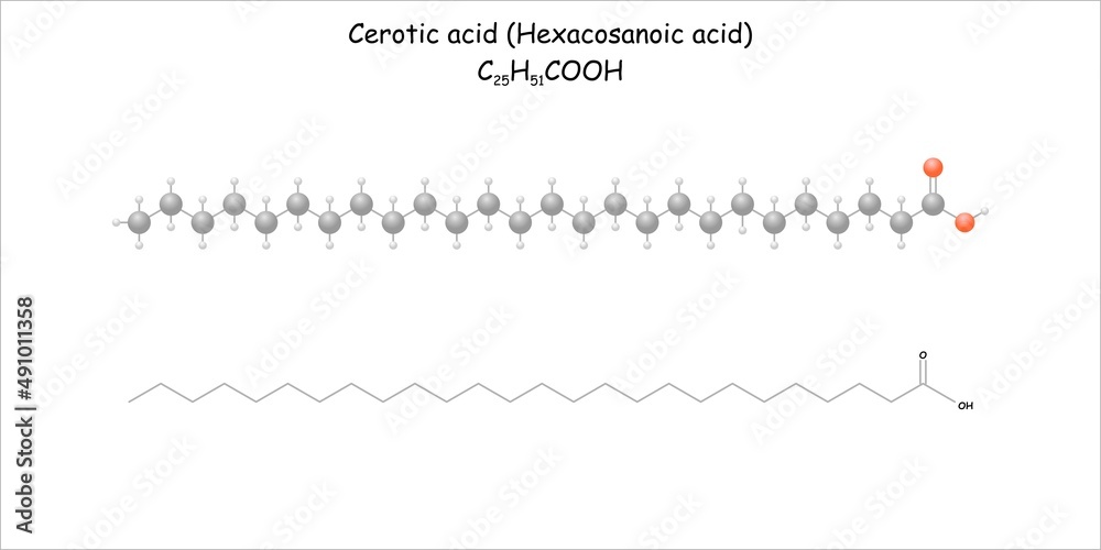 Stylized molecule model/structural formula of the unsaturated fatty ...