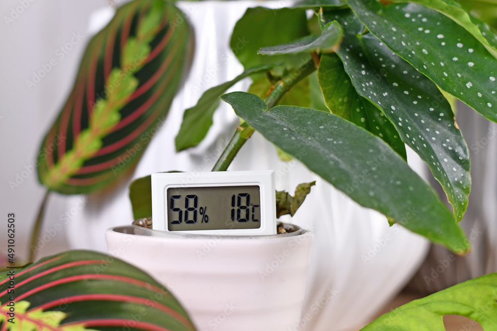 Hygrometer and thermometer device to measure humidity and temperature ...