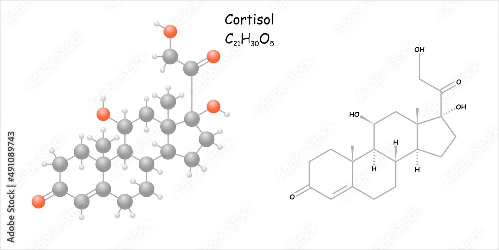 Stylized molecule model and skeletal formula of the steroid hormone ...