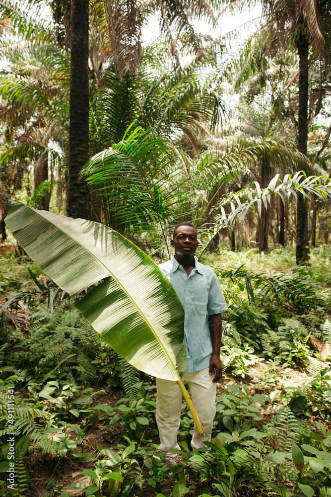 Portrait of a black african activist standing in the rainforest Stock ...
