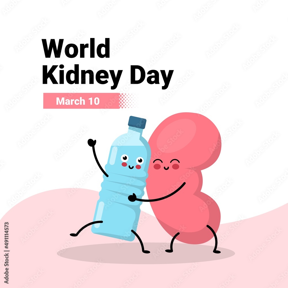 Kidney and mineral water cartoon character vector illustration, as ...