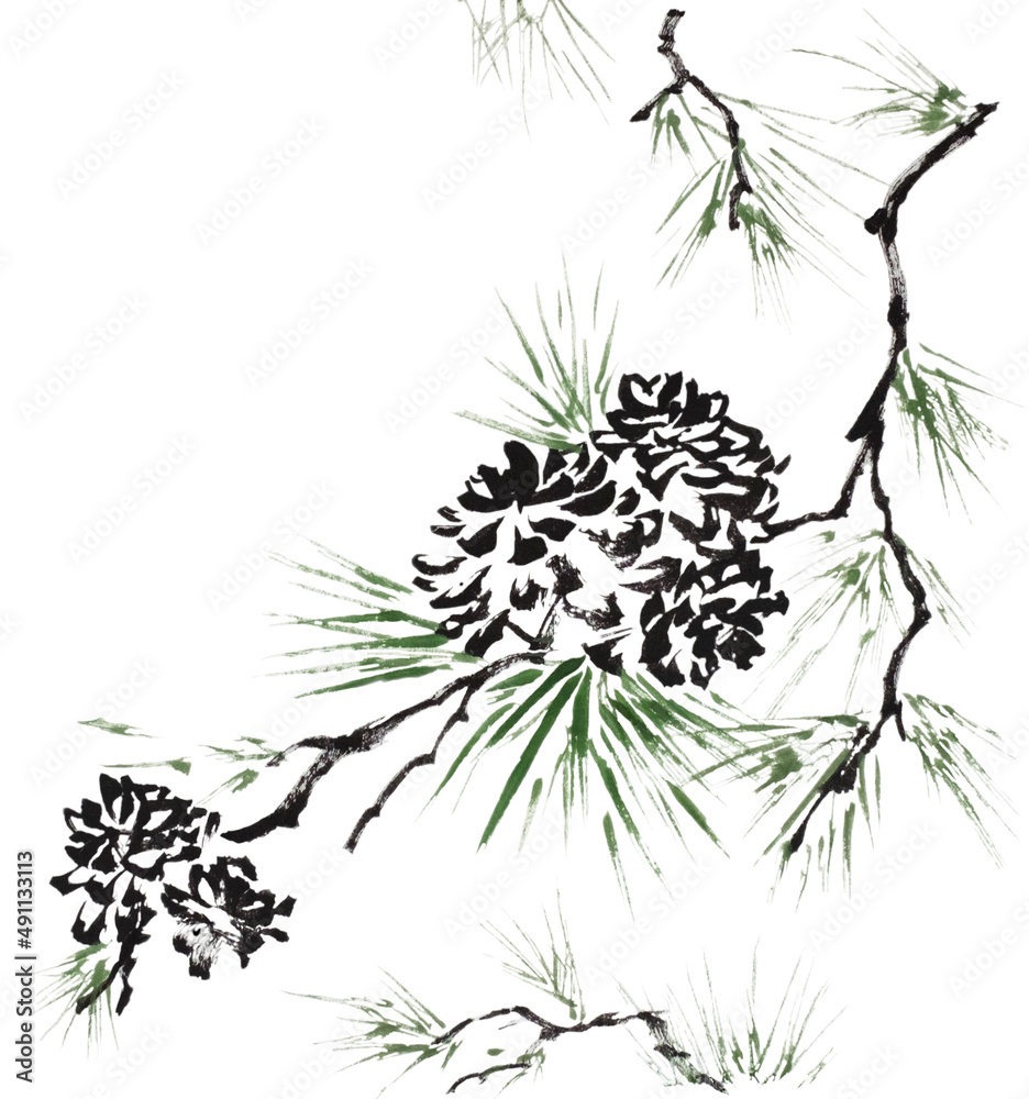 Pine tree branches and twigs with cones (painted with ink and Chinese ...