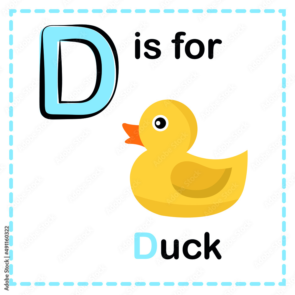 Alphabet d is for duck vector image. alphabet flash card. Stock Vector ...