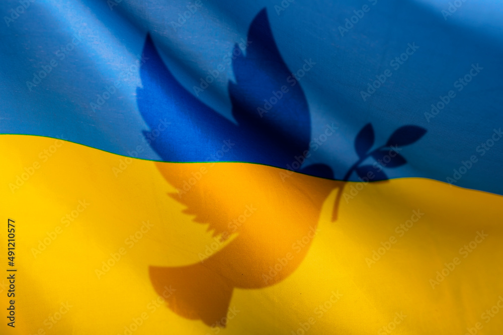 Dove in the colors of the ukrainian flag, war with Russia, peace for ...