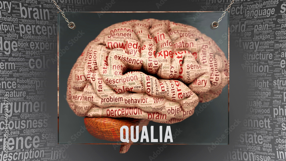 Qualia anatomy - its causes and effects projected on a human brain ...
