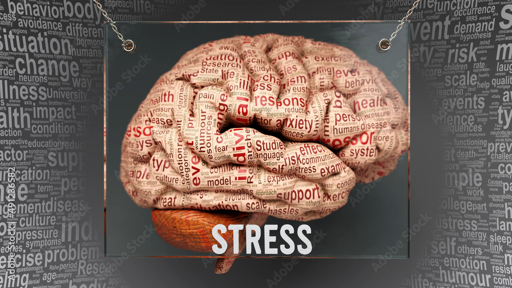 Stress anatomy - its causes and effects projected on a human brain ...