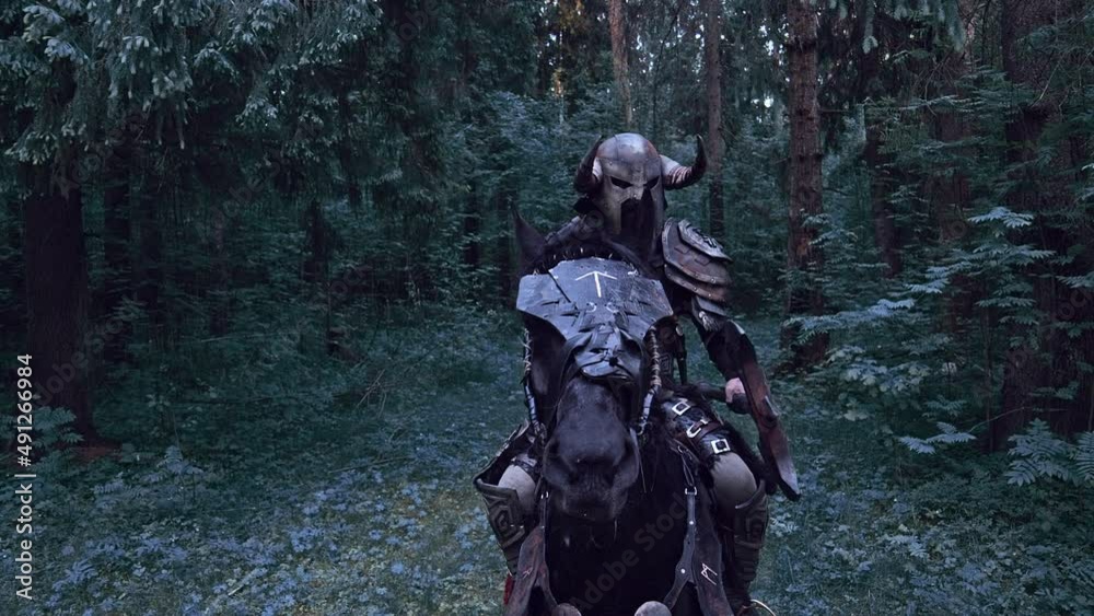 Viking. Warrior rides a horse from battle. Stock Video | Adobe Stock