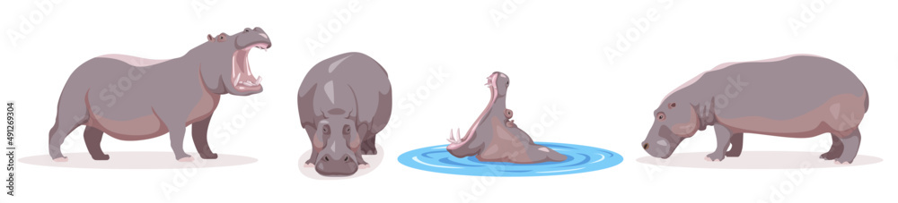 Set of hippo in different angles and emotions in cartoon style. Vector ...