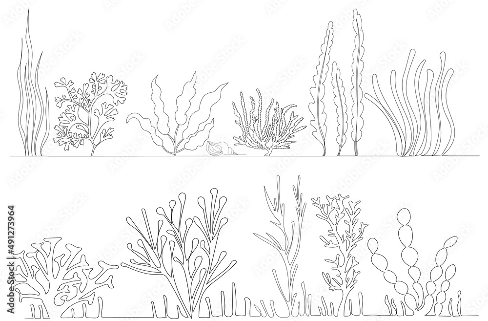 algae drawing in one continuous line, isolated Stock Vector | Adobe Stock
