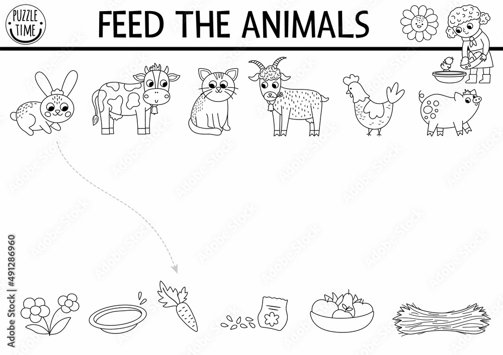 Food From Animals Worksheet
