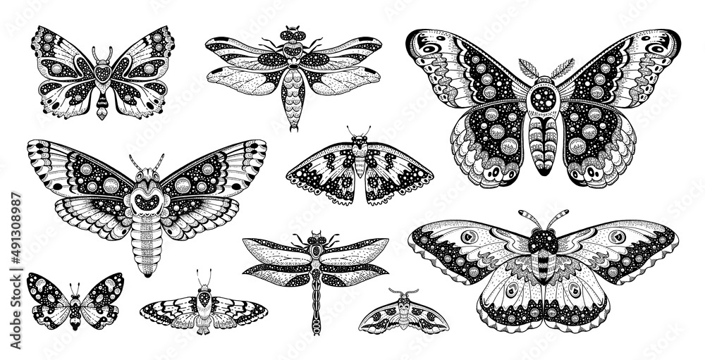 Moth tattoo set. Butterfly dragonfly vector black art. Universe wing ...
