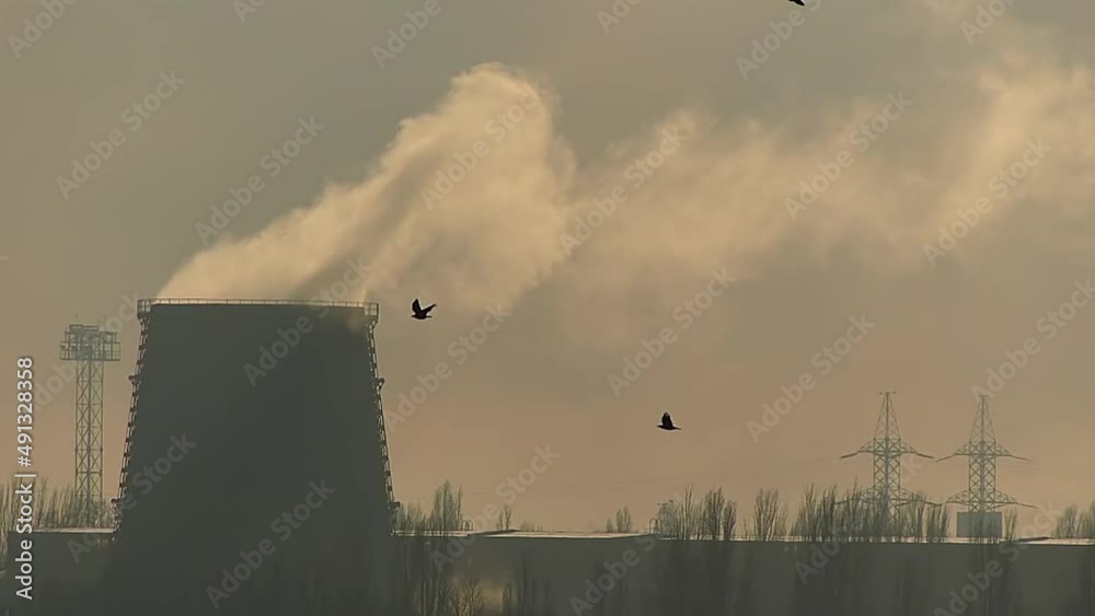 Silhouette of a huge cooling tower with white steam and flying birds in ...