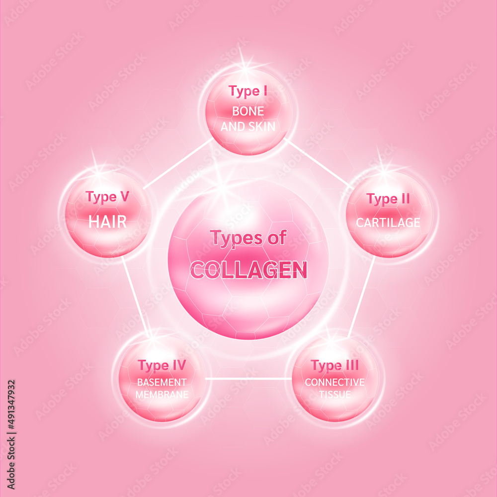 Type Of Collagen The Five Most Common Types Of Collagen Protein Main type-of-collagen-the-five-most-common-types-of-collagen-protein-main
